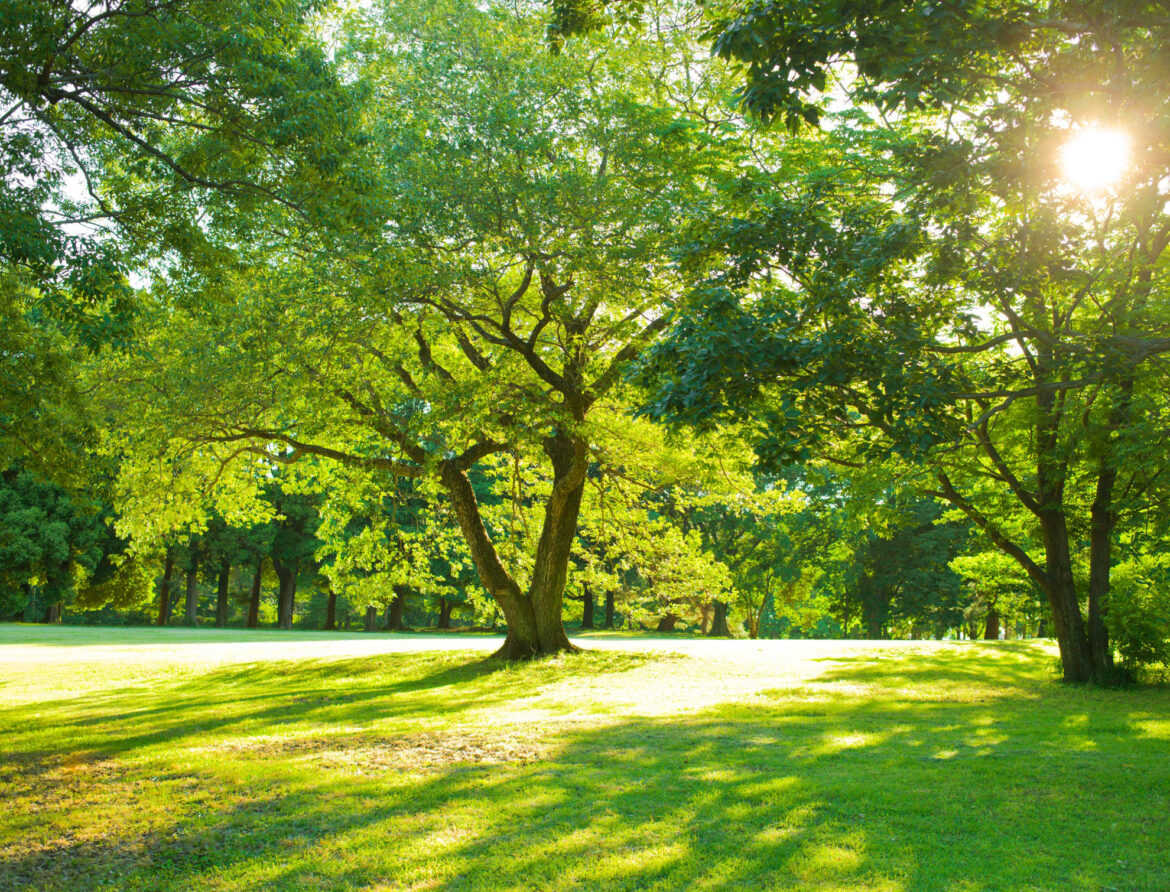 HONOR AND REMEMBER NEBRASKA